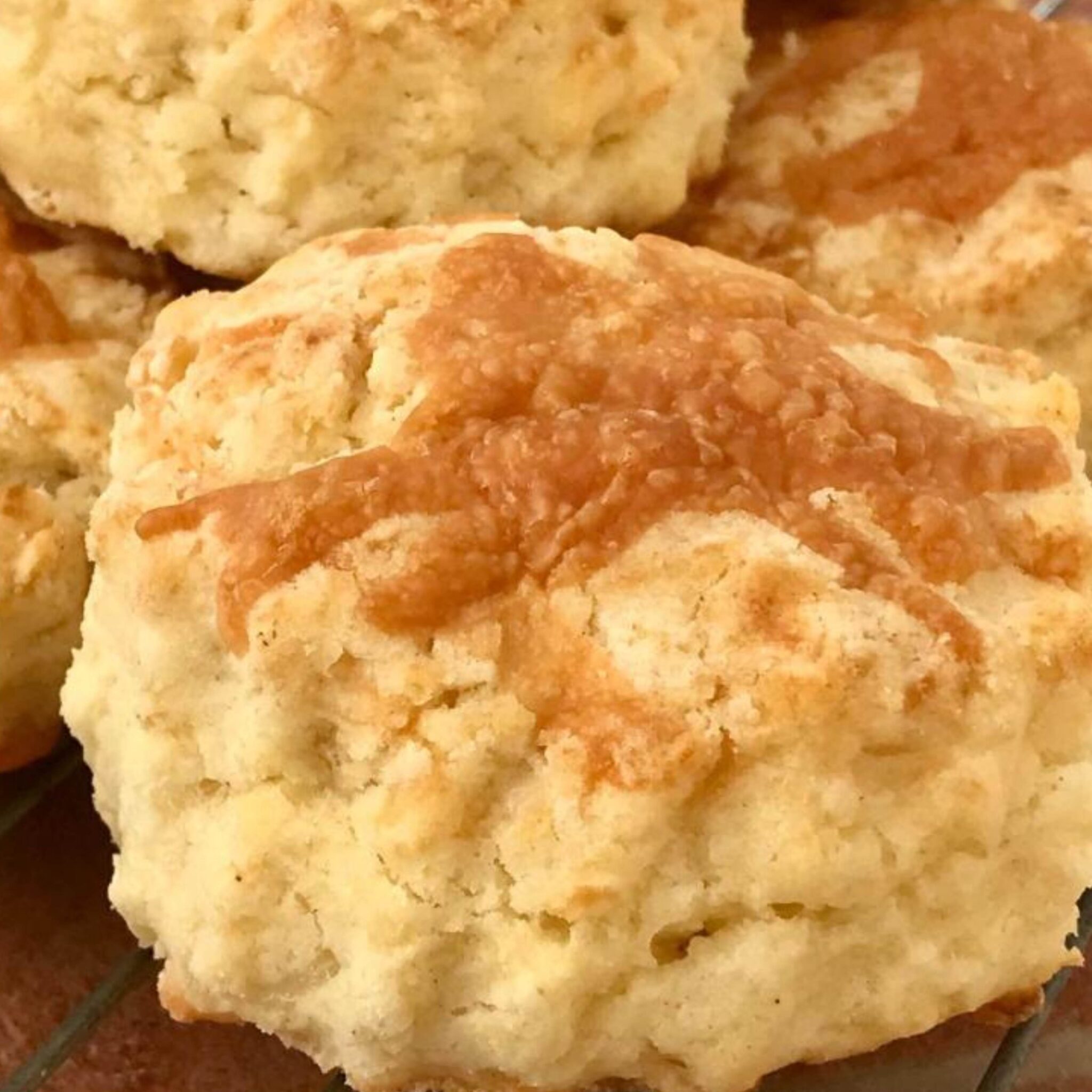 Cheese Scones - Scone.NZ